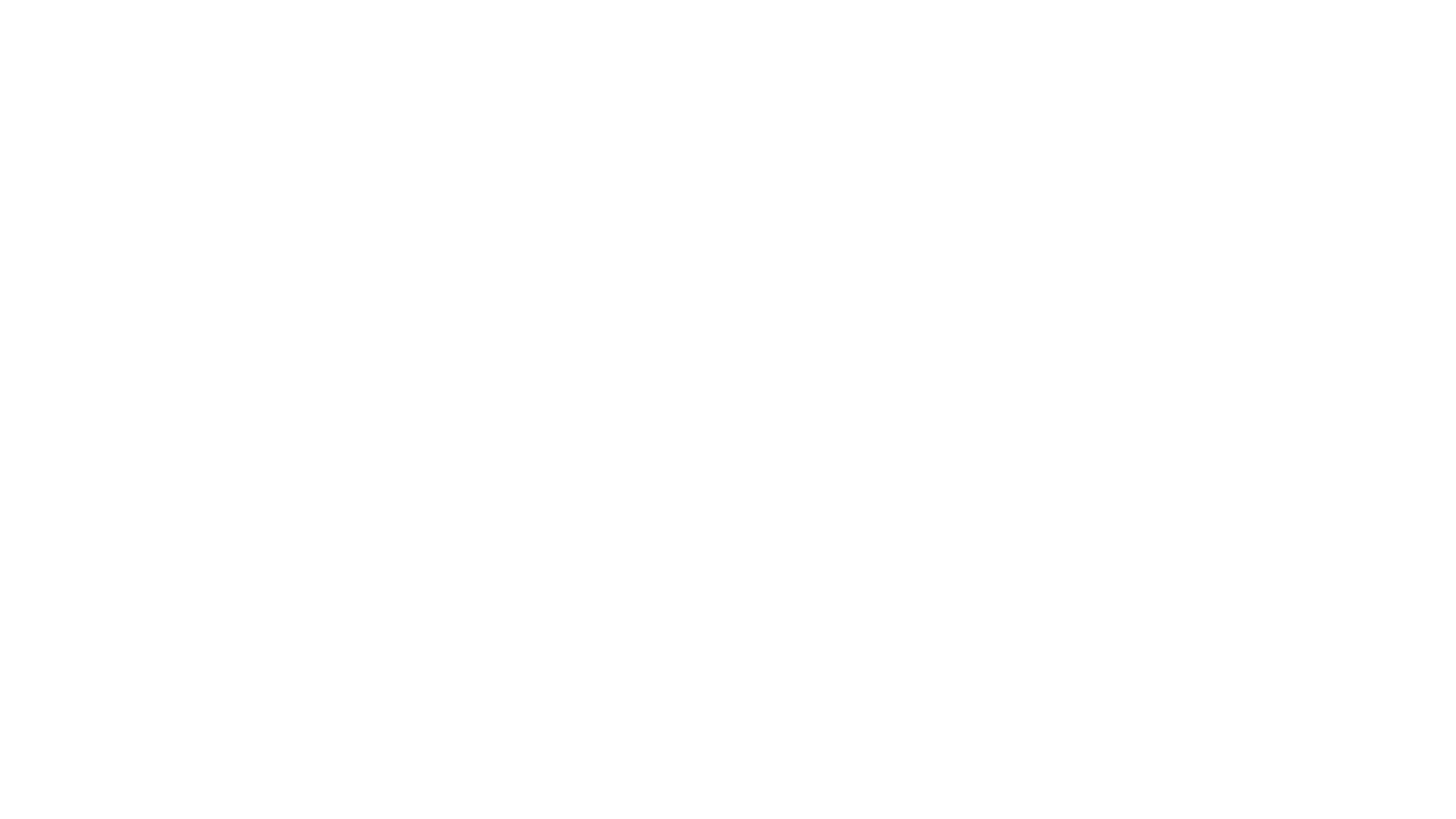 +NET & Telecom – A conexão que faz a diferença